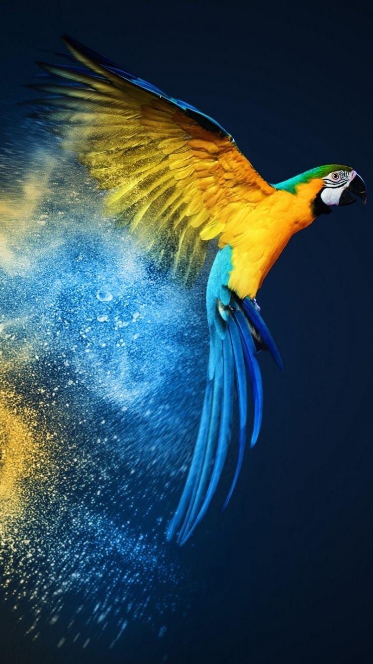 Parrot Security Wallpapers - Top Free Parrot Security Backgrounds ...