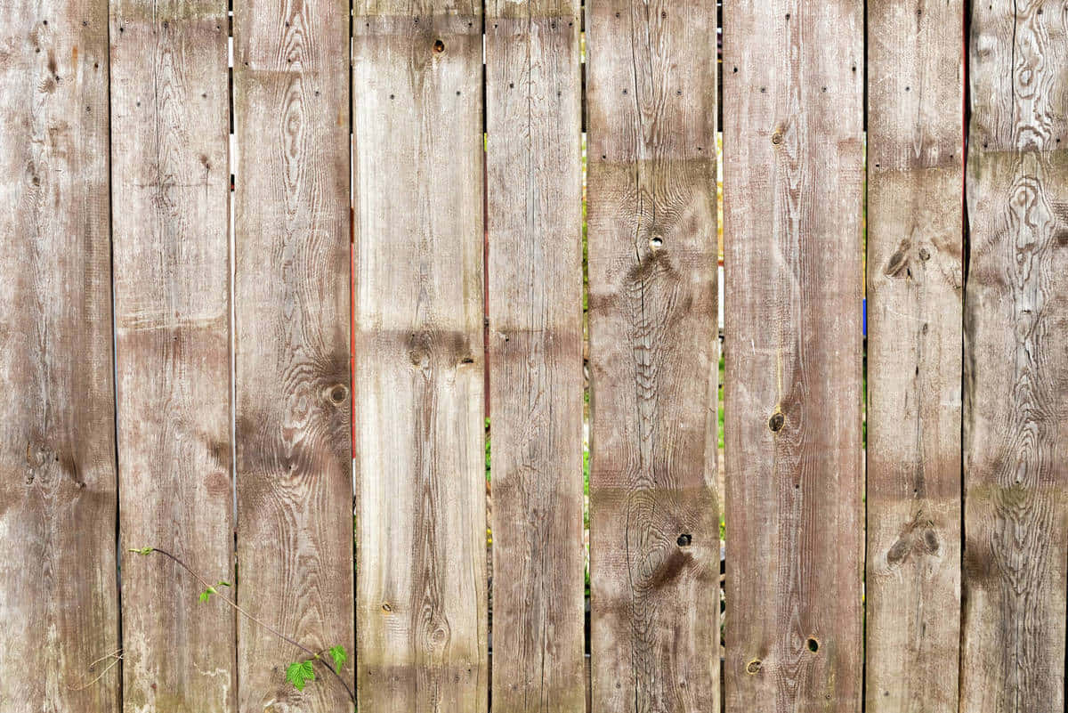 Wooden Fence Wallpapers - Top Free Wooden Fence Backgrounds ...