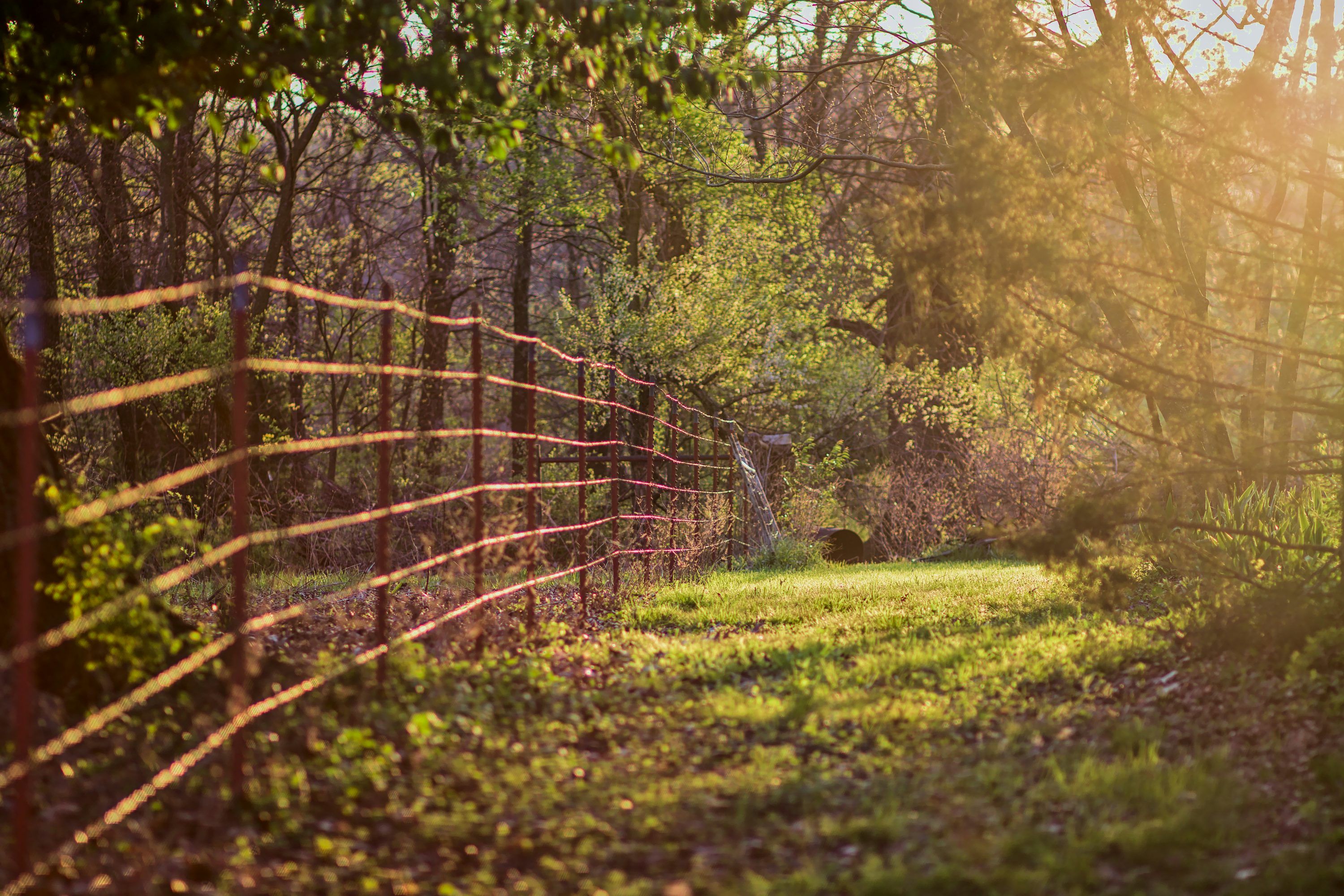 Wooden Fence Wallpapers - Top Free Wooden Fence Backgrounds ...