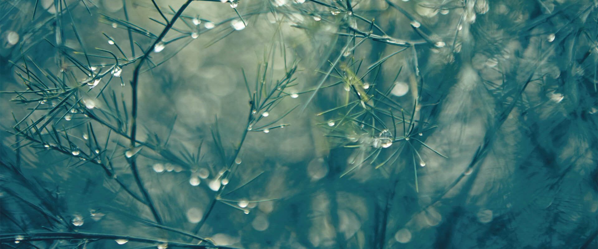 1920x800 Wallpapers - Top Free 1920x800 Backgrounds - WallpaperAccess