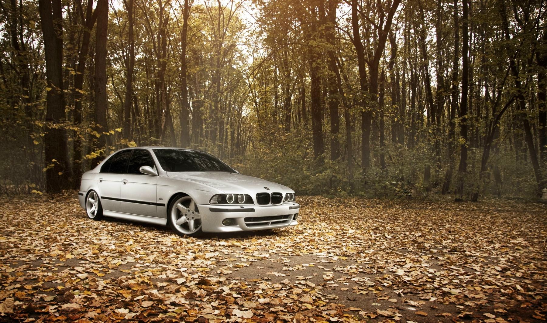 BMW E39 Wallpapers - Top Free BMW E39 Backgrounds - WallpaperAccess