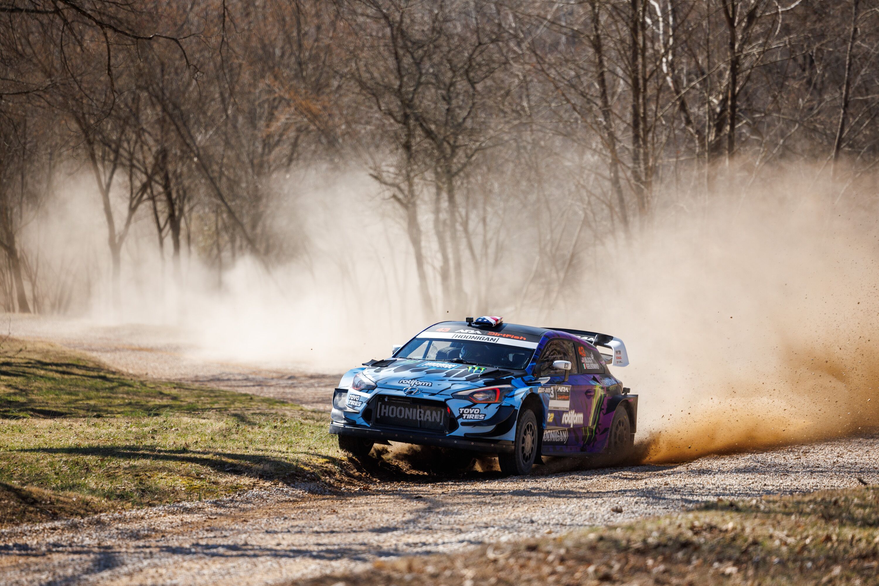 Hyundai Rally Wallpapers - Top Free Hyundai Rally Backgrounds ...