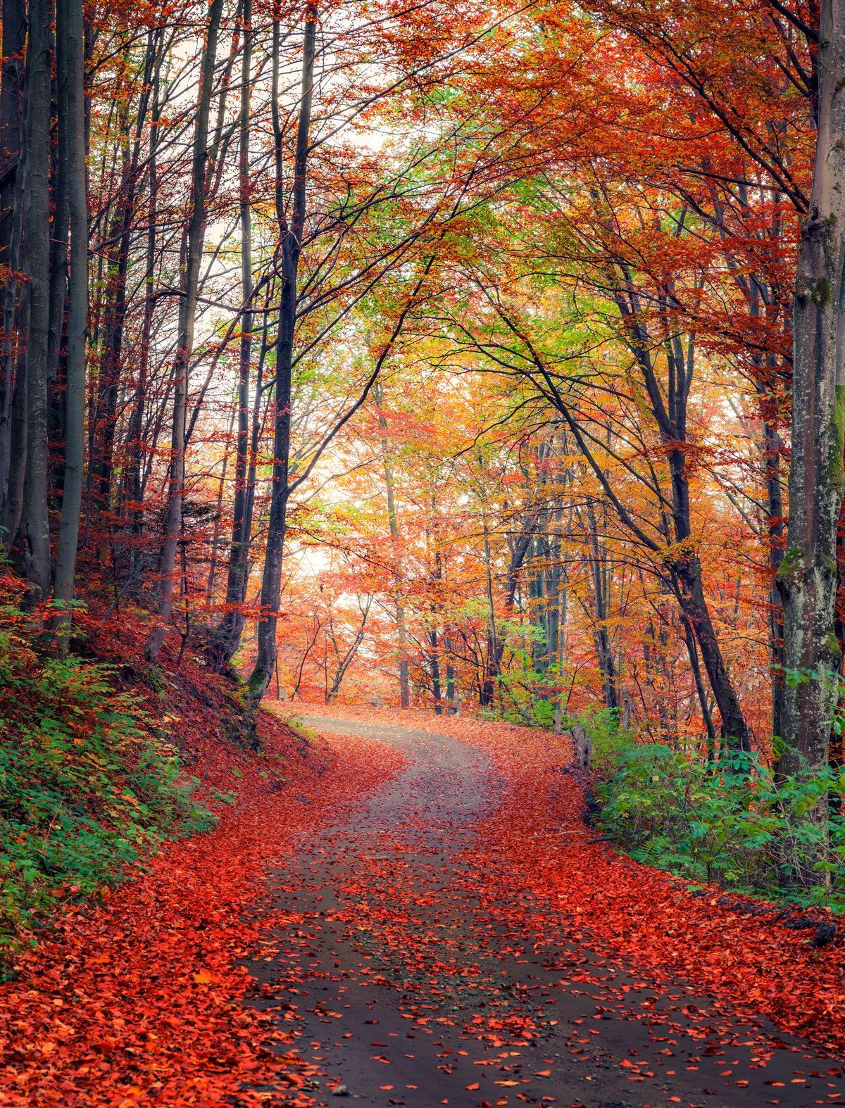 Europe Autumn Wallpapers - Top Free Europe Autumn Backgrounds ...