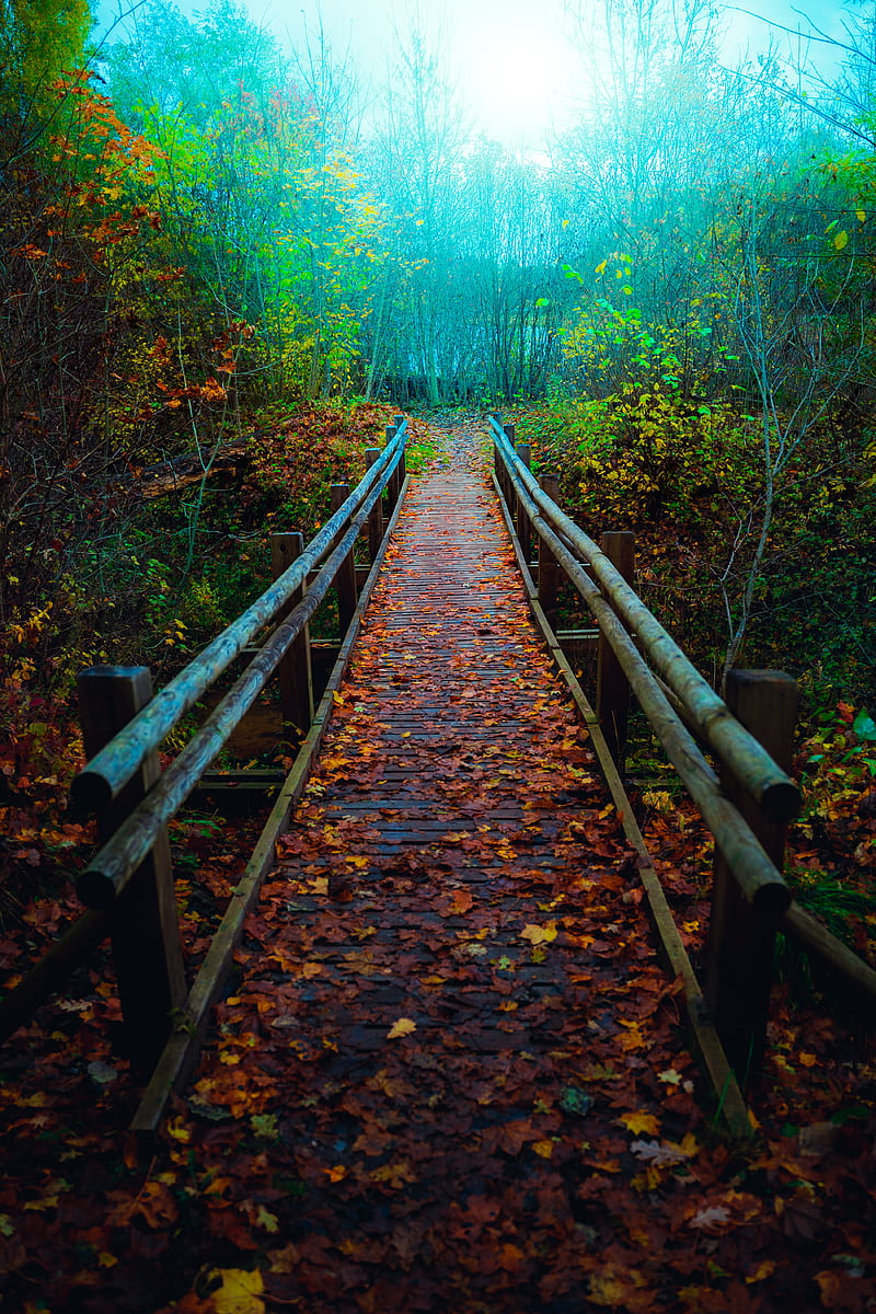 Europe Autumn Wallpapers - Top Free Europe Autumn Backgrounds ...