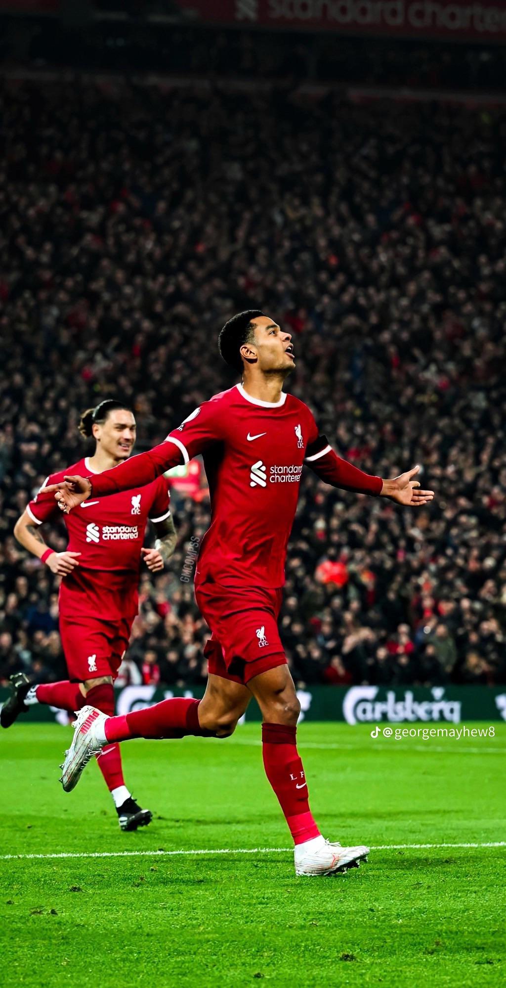 Liverpool 2024 Wallpapers - Top Free Liverpool 2024 Backgrounds ...