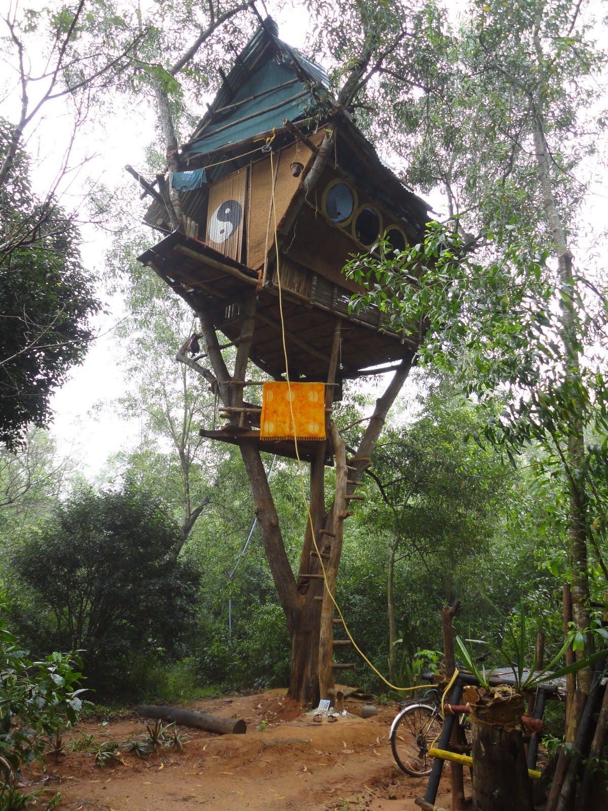 Tree House Wallpapers - Top Free Tree House Backgrounds - WallpaperAccess