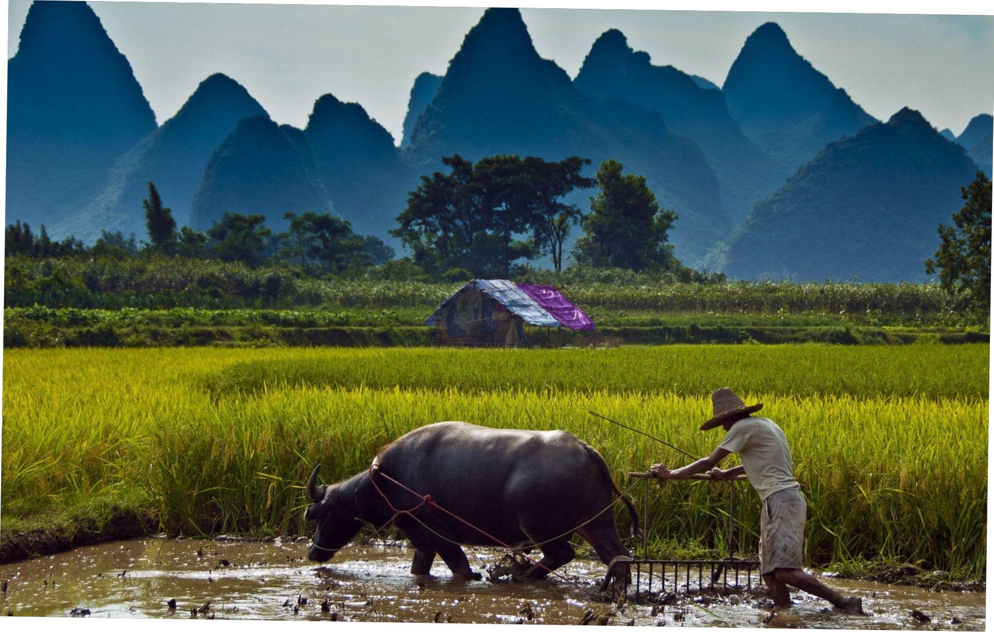 Farmer Wallpapers - Top Free Farmer Backgrounds - WallpaperAccess