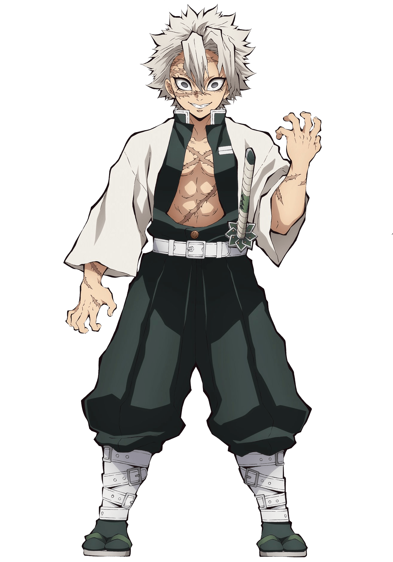 Sanemi Wallpapers - Top Free Sanemi Backgrounds - WallpaperAccess