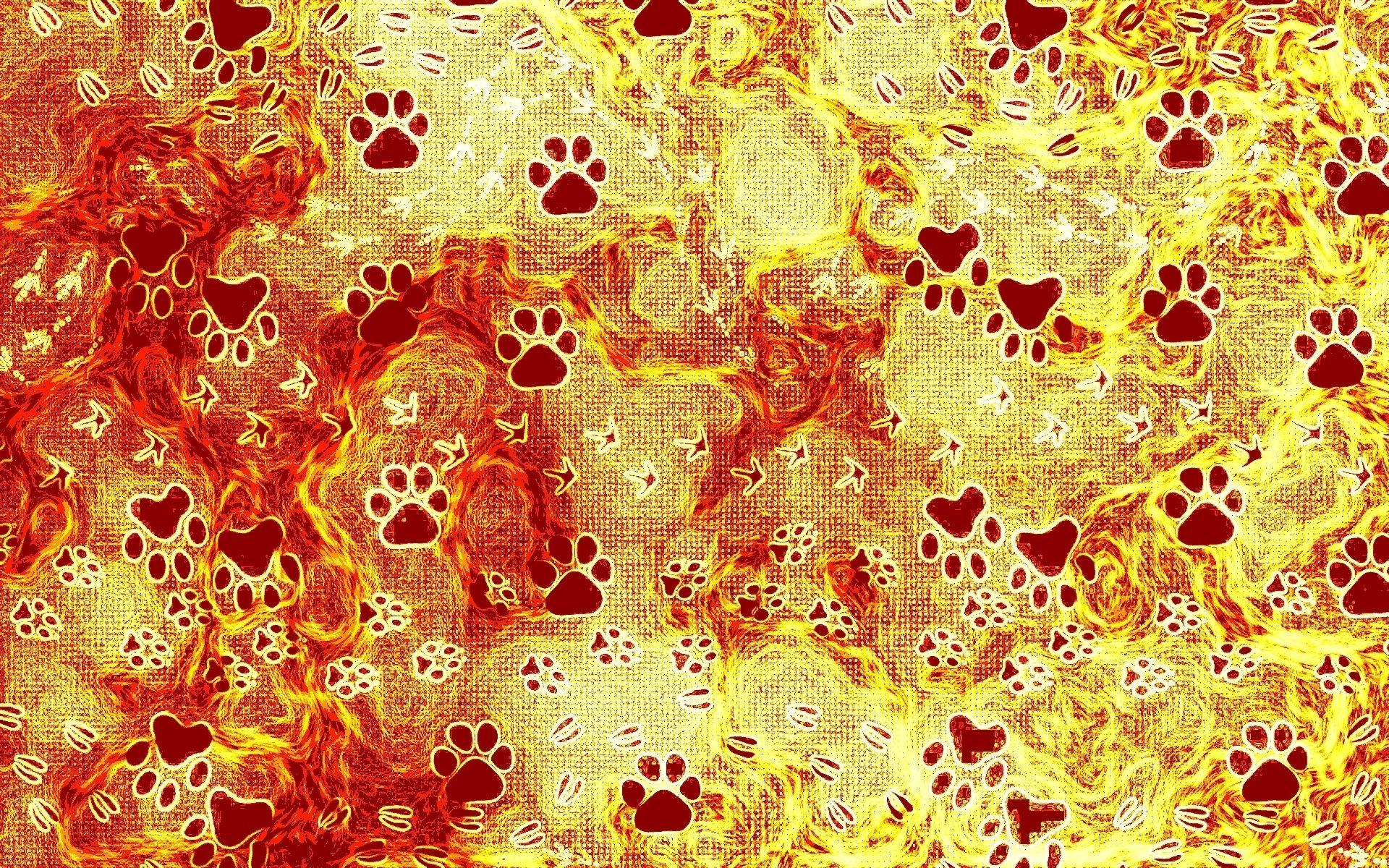 Paw Wallpapers - Top Free Paw Backgrounds - WallpaperAccess
