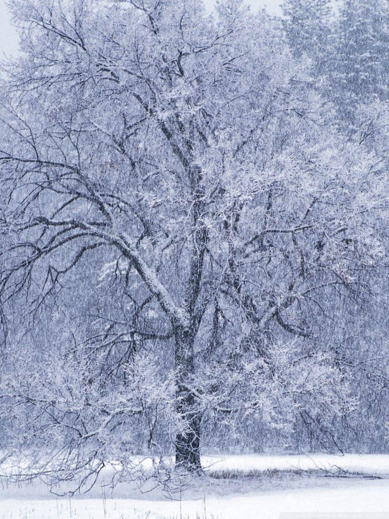 Snow Phone Wallpapers - Top Free Snow Phone Backgrounds - WallpaperAccess