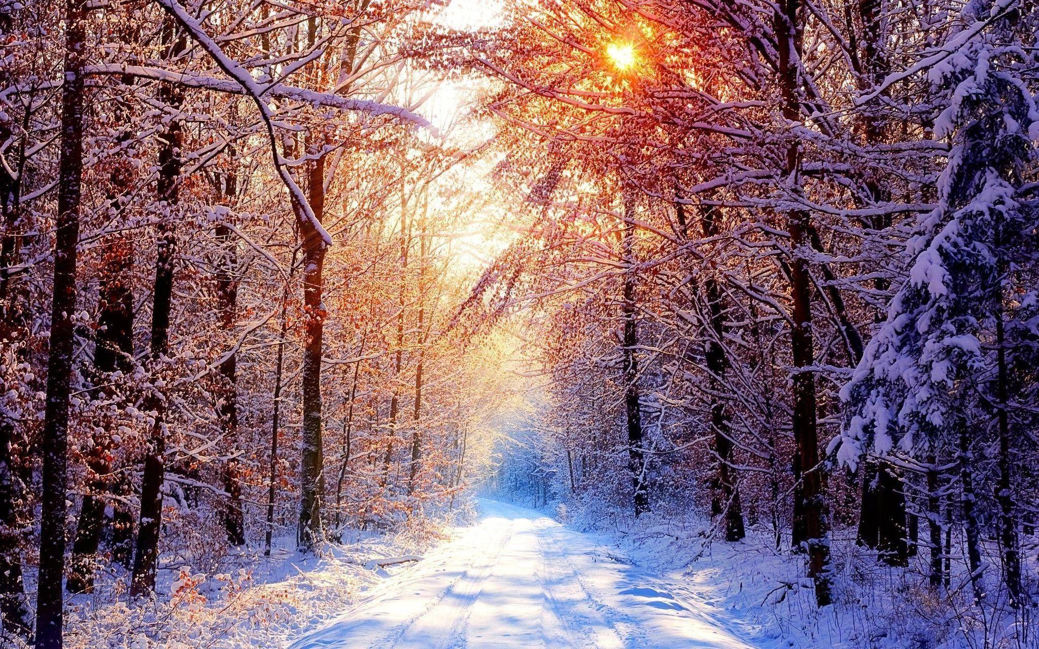 Winter Scenery HD Desktop Wallpapers - Top Free Winter Scenery HD ...