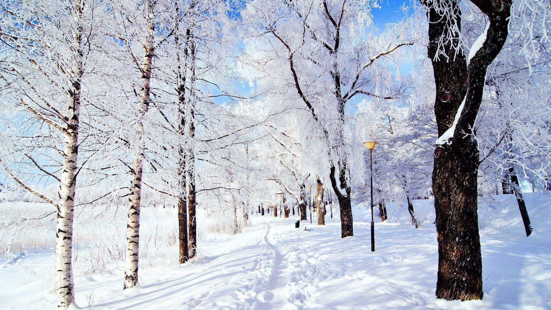 Snowy Scenery Wallpapers - Top Free Snowy Scenery Backgrounds ...