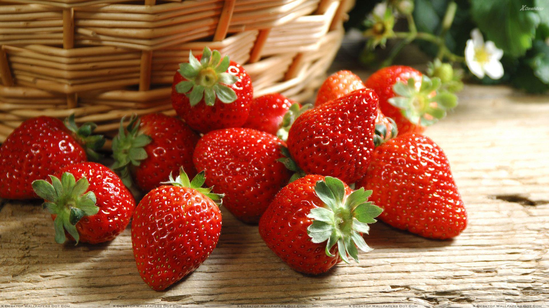 Strawberries Wallpapers - Top Free Strawberries Backgrounds ...