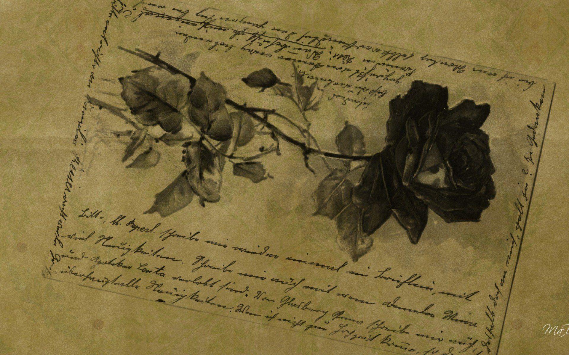 Vintage Paper Wallpapers - Top Free Vintage Paper Backgrounds