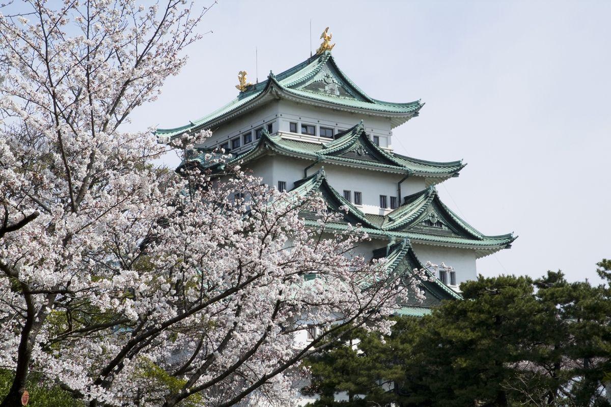 Nagoya Wallpapers - Top Free Nagoya Backgrounds - WallpaperAccess