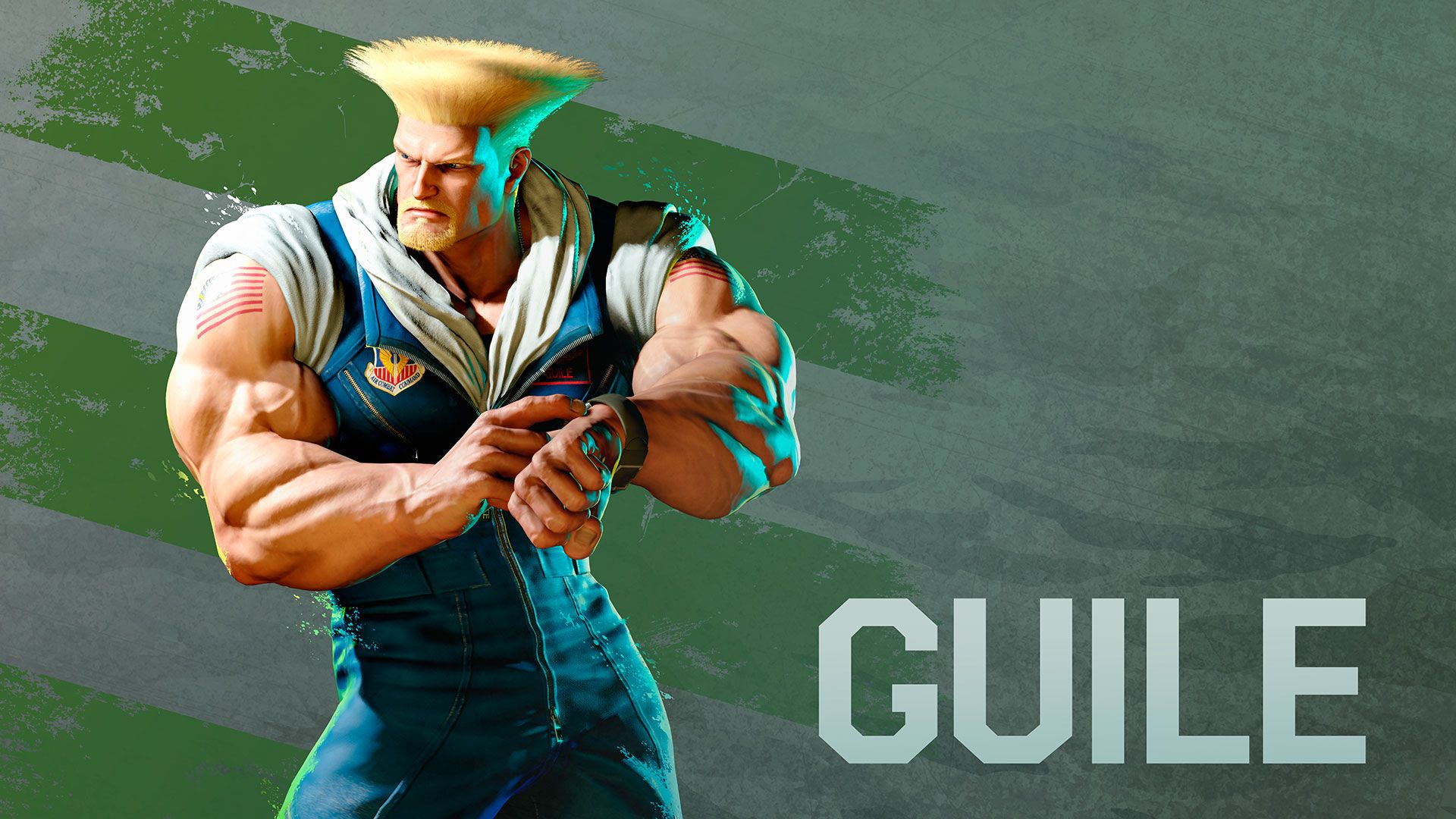 Guile Wallpapers - Top Free Guile Backgrounds - WallpaperAccess