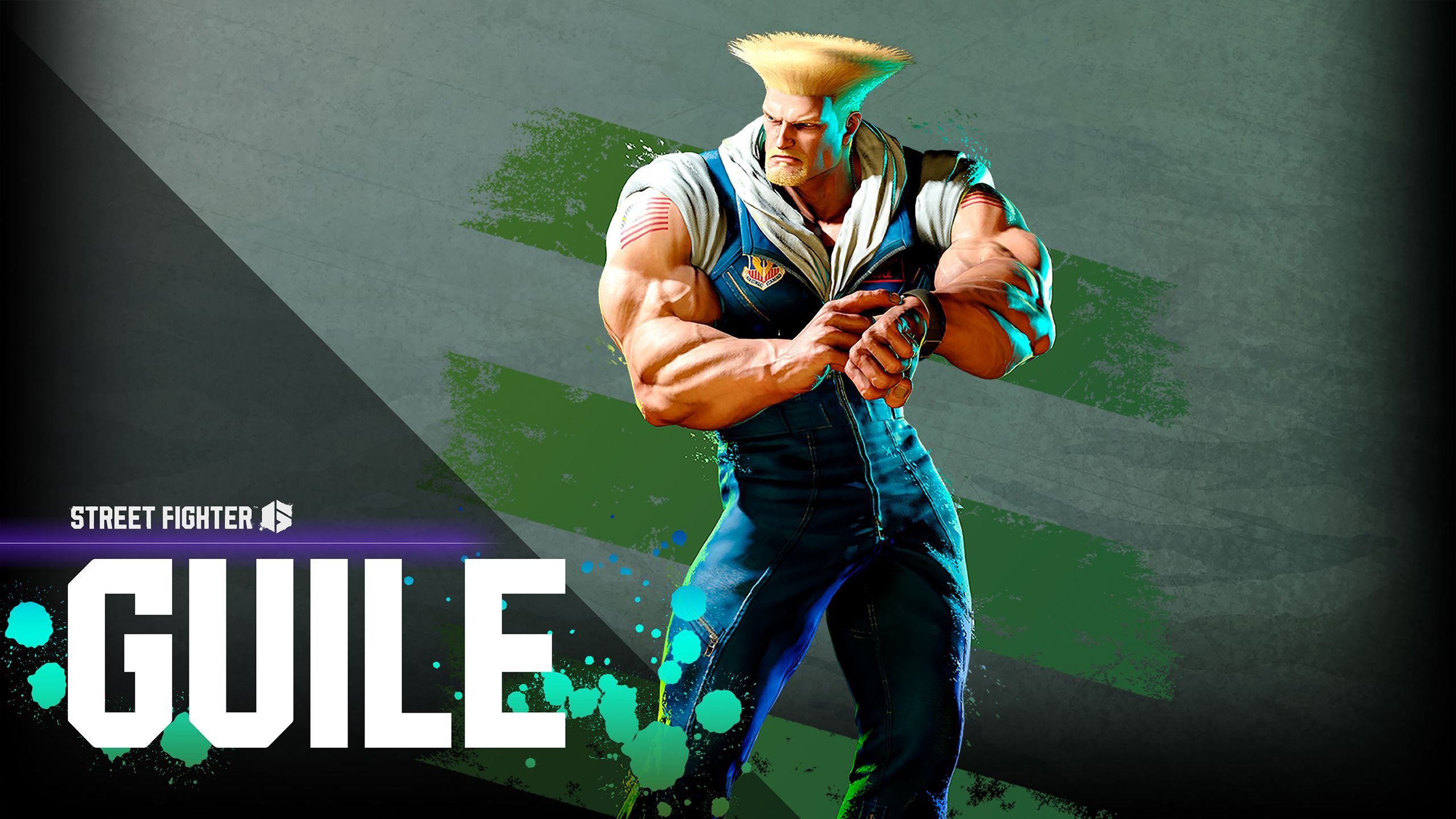 Guile Wallpapers - Top Free Guile Backgrounds - WallpaperAccess