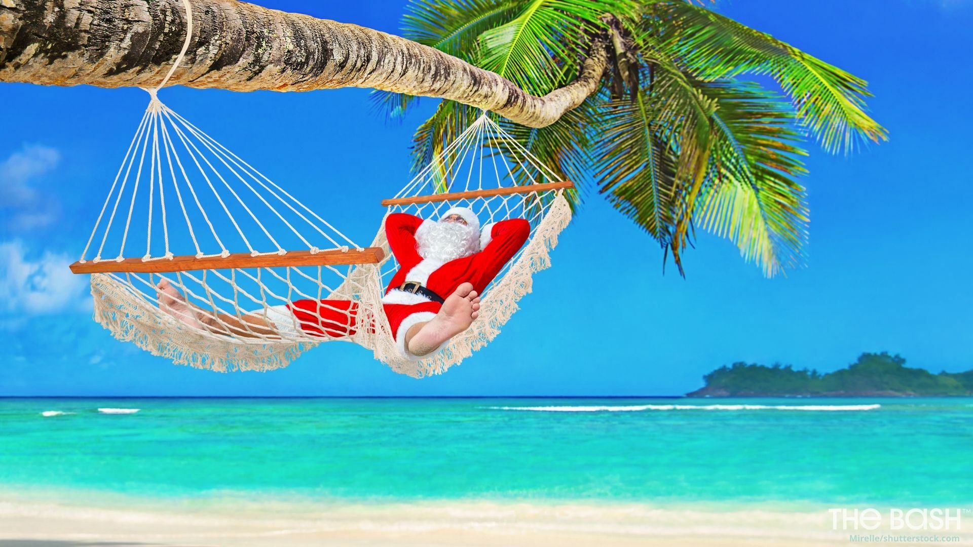 Funny Zoom Wallpapers - Top Free Funny Zoom Backgrounds - WallpaperAccess