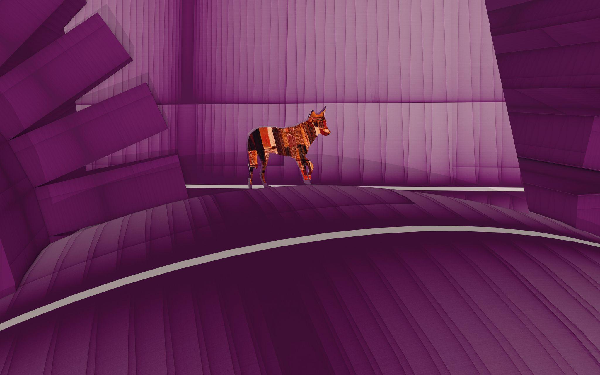 Dingo Wallpapers - Top Free Dingo Backgrounds - WallpaperAccess