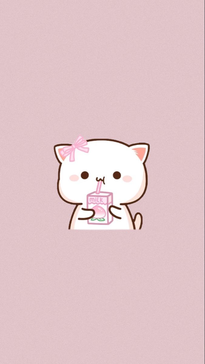 Peach Cat Wallpapers - Top Free Peach Cat Backgrounds - WallpaperAccess