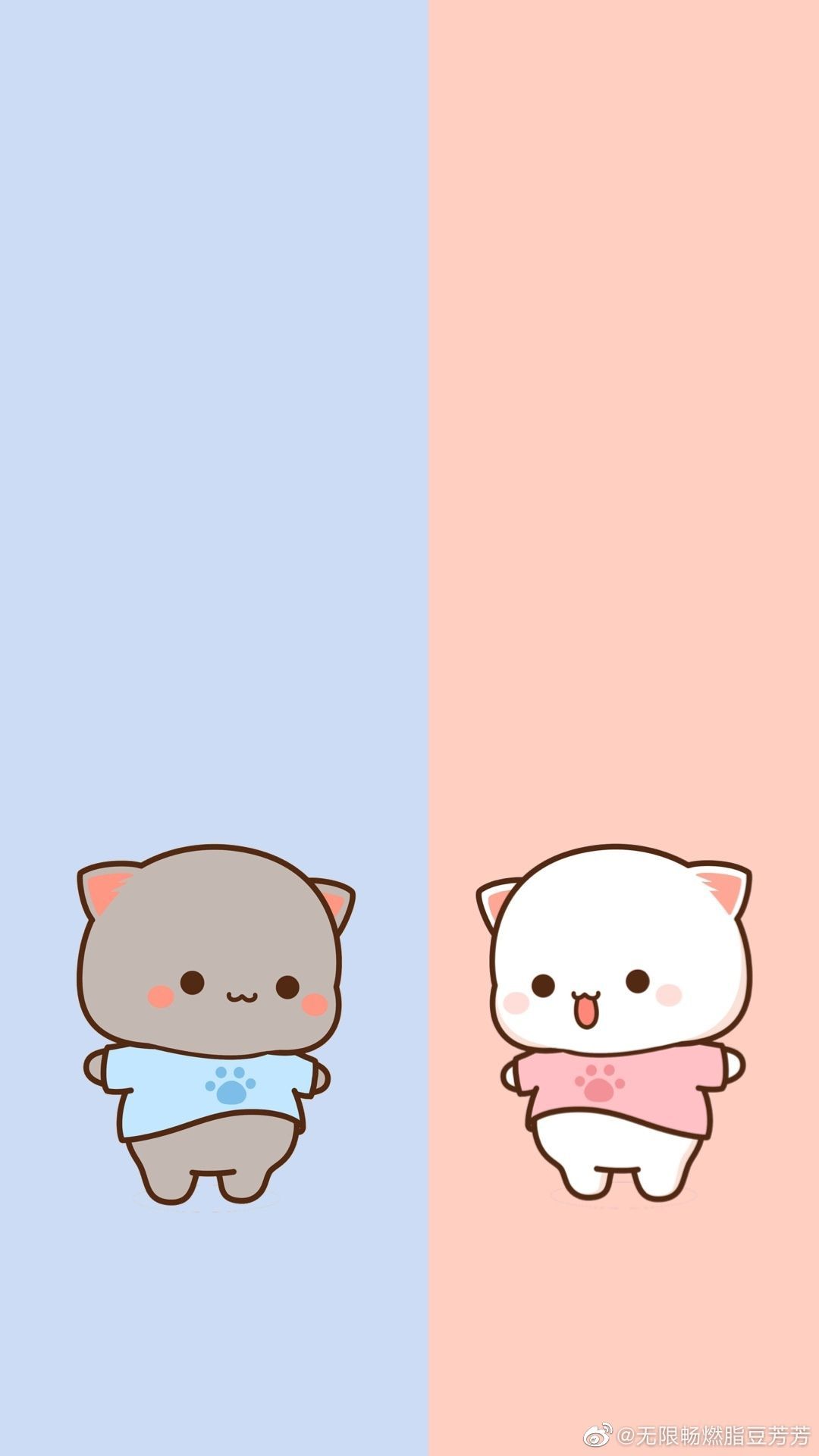 Peach Cat Wallpapers - Top Free Peach Cat Backgrounds - WallpaperAccess