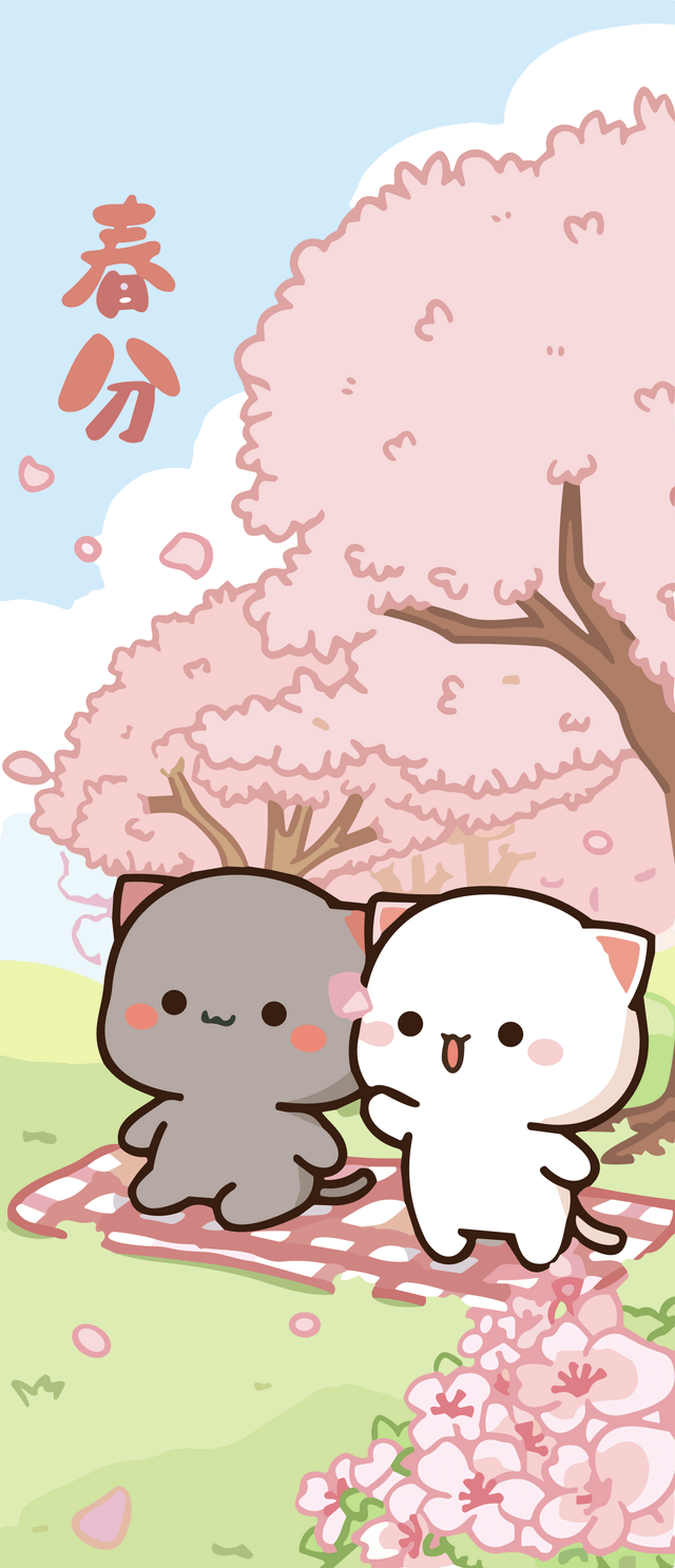 Peach Cat Wallpapers - Top Free Peach Cat Backgrounds - WallpaperAccess