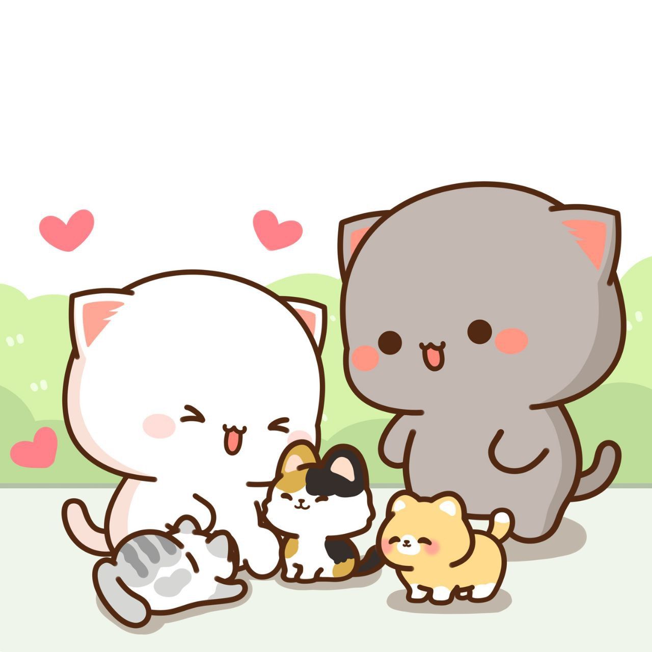 Peach Cat Wallpapers - Top Free Peach Cat Backgrounds - WallpaperAccess