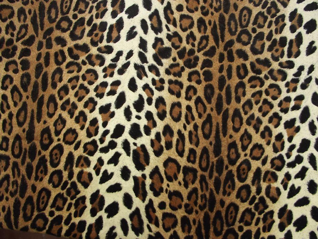 Animal Skin Wallpapers - Top Free Animal Skin Backgrounds - WallpaperAccess