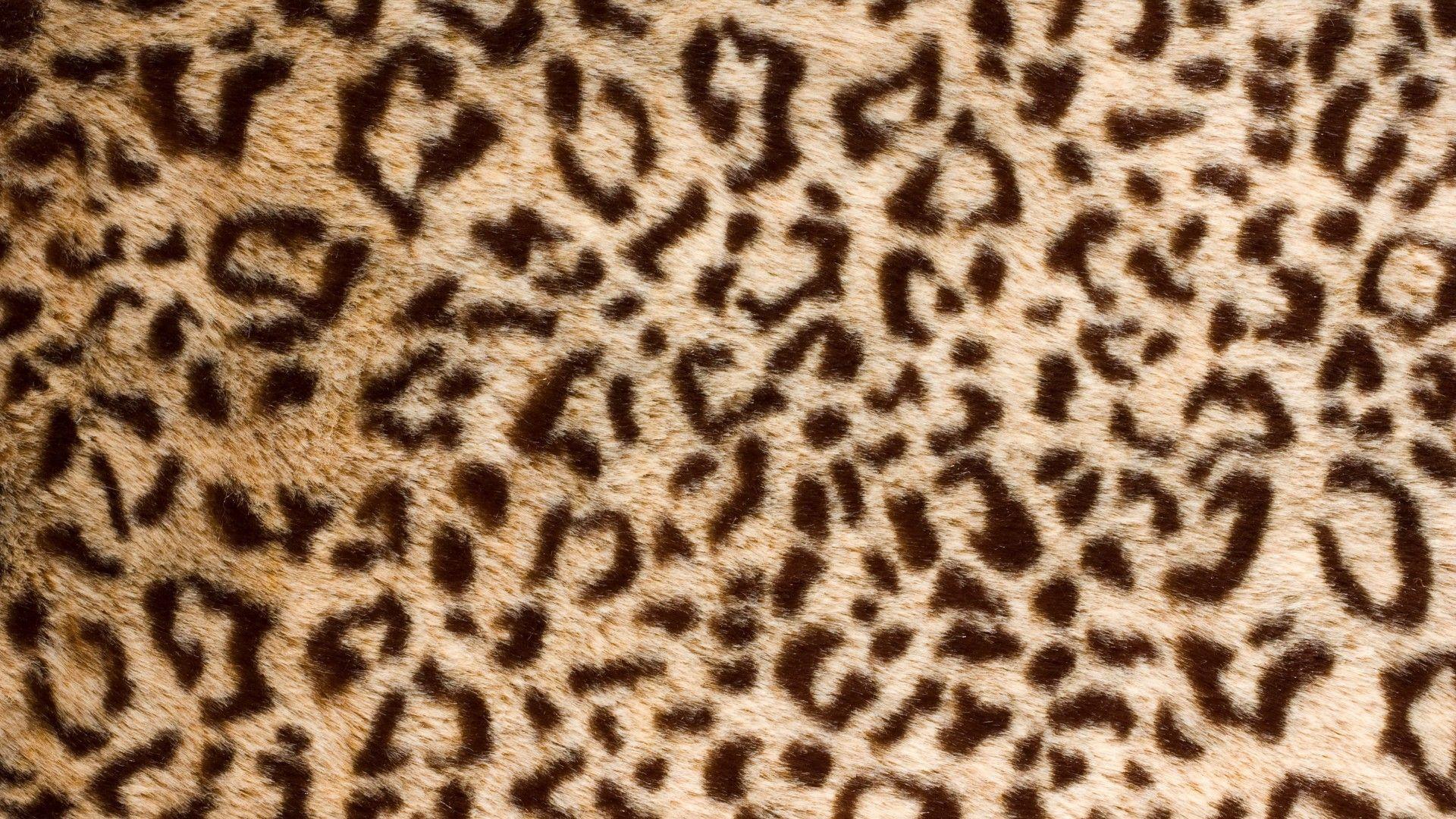 Animal Skin Wallpapers - Top Free Animal Skin Backgrounds - WallpaperAccess