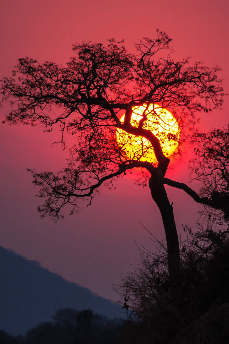 Mesmerizing Wallpapers - Top Free Mesmerizing Backgrounds - WallpaperAccess