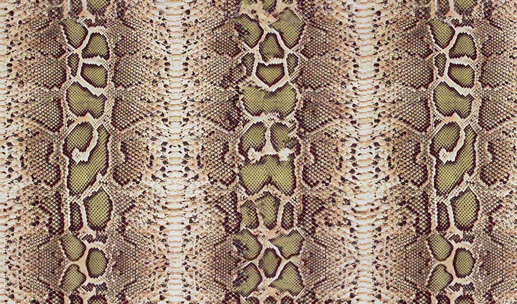 Snake Print Wallpapers - Top Free Snake Print Backgrounds - WallpaperAccess