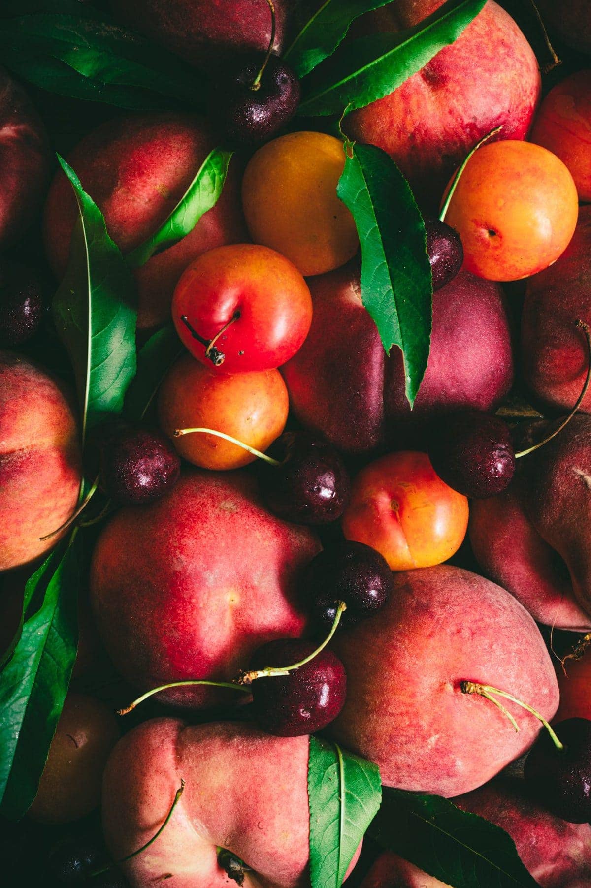 Dough Fruit Wallpapers - Top Free Dough Fruit Backgrounds - WallpaperAccess
