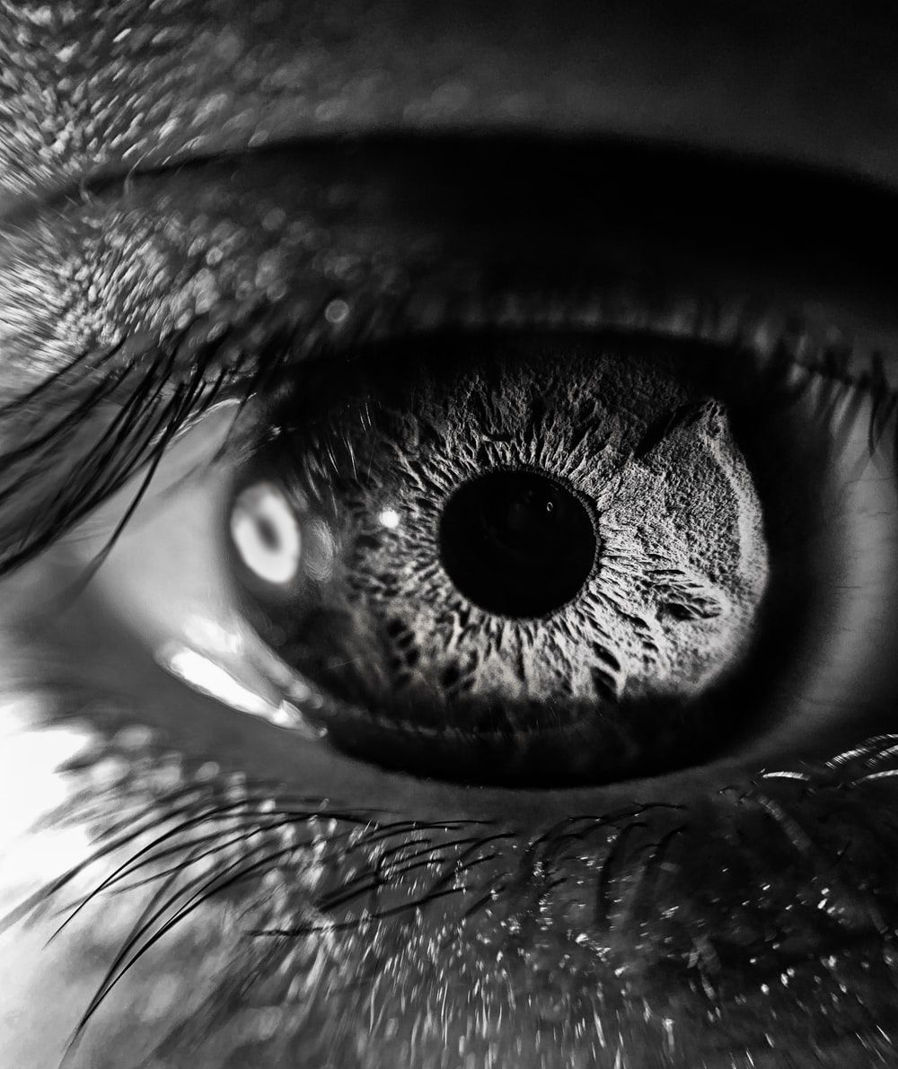 Eye Contact Wallpapers - Top Free Eye Contact Backgrounds - WallpaperAccess