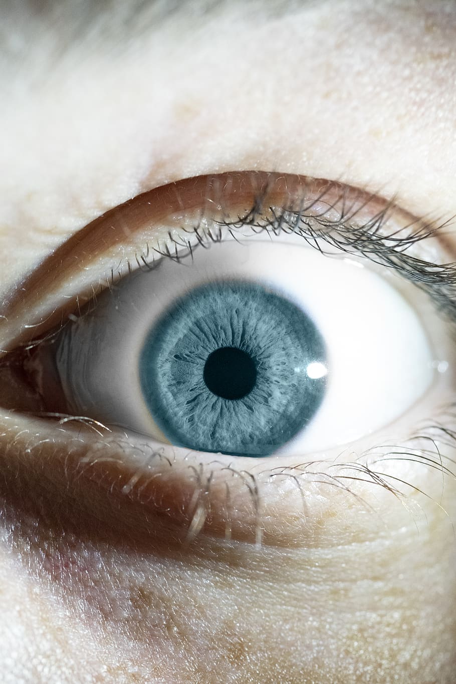 Eye Contact Wallpapers - Top Free Eye Contact Backgrounds - WallpaperAccess