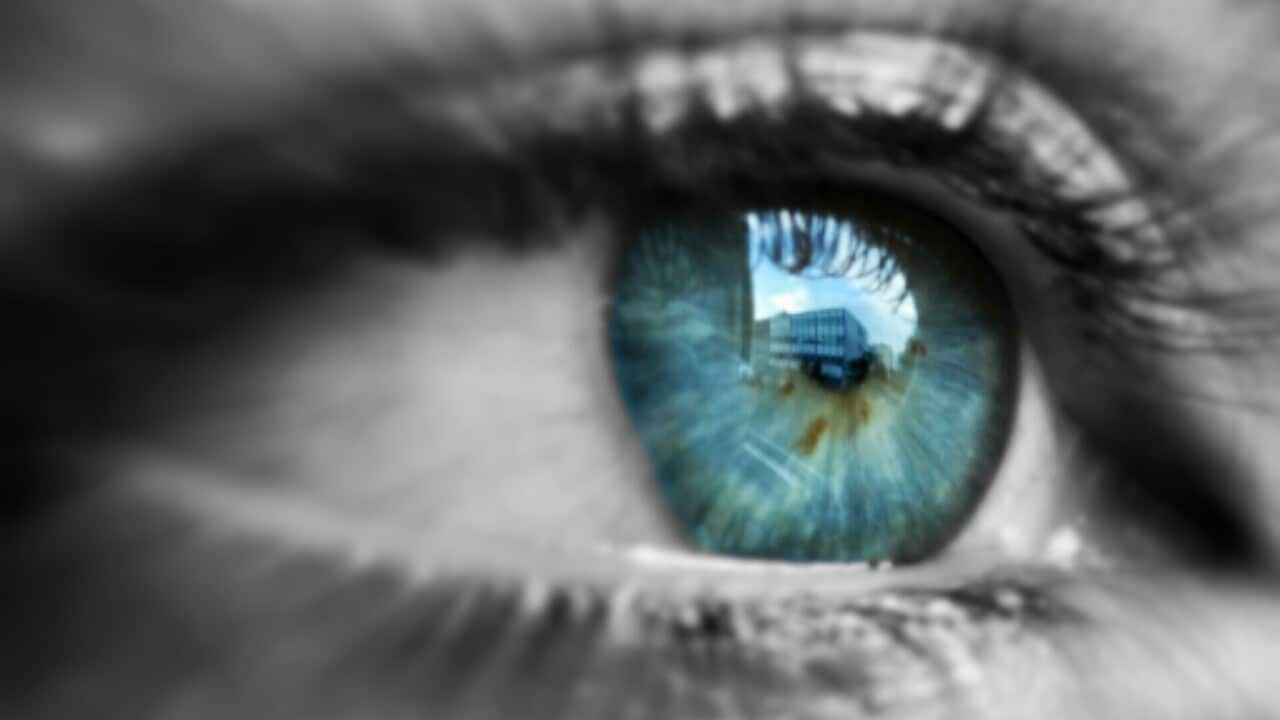 Eye Contact Wallpapers - Top Free Eye Contact Backgrounds - WallpaperAccess