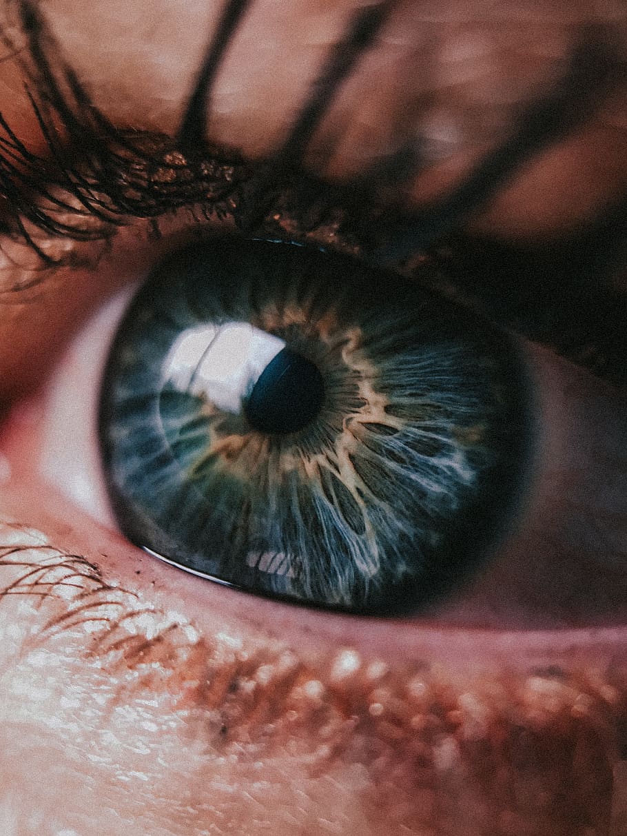 Eye Contact Wallpapers - Top Free Eye Contact Backgrounds - WallpaperAccess