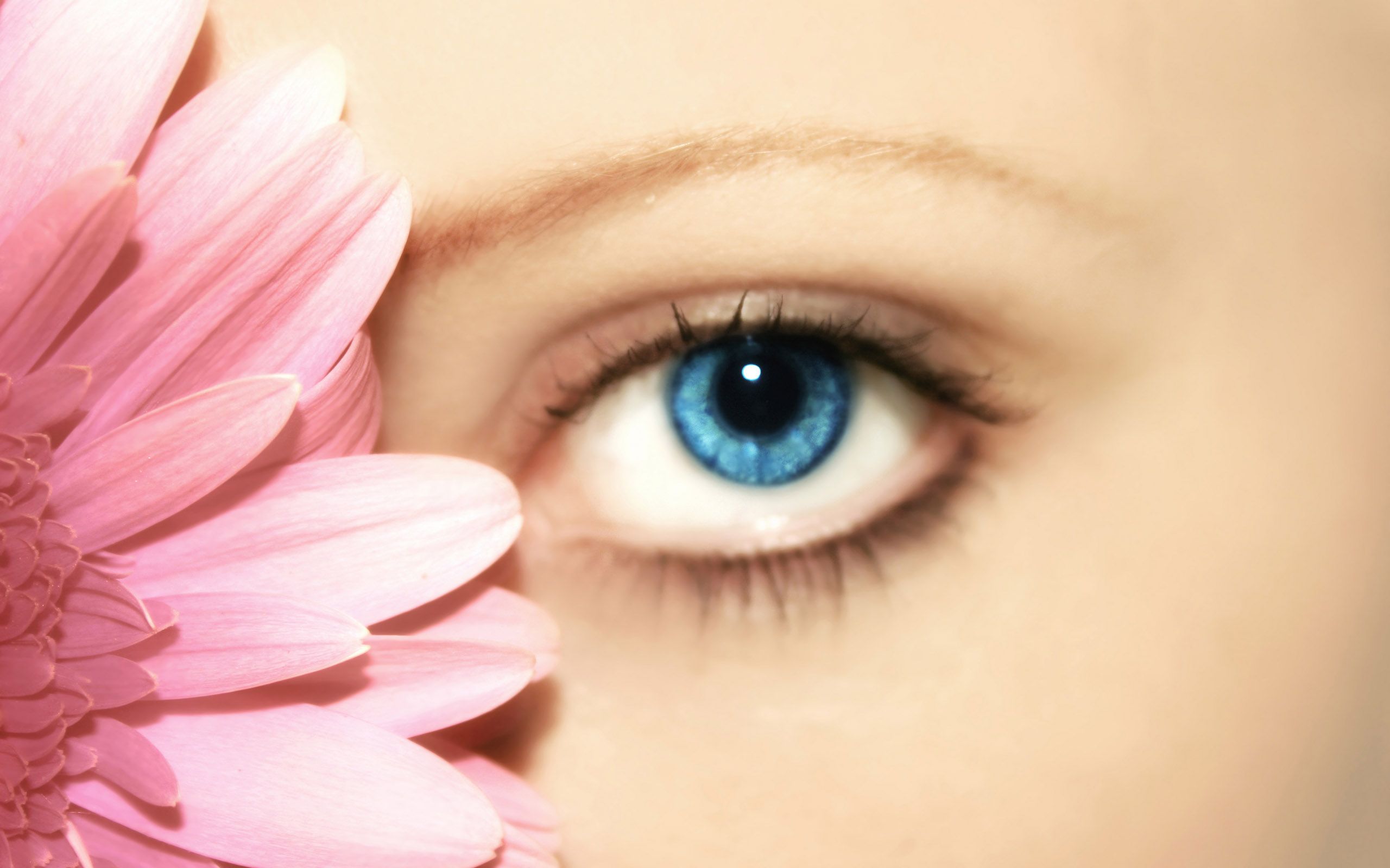 Eye Contact Wallpapers - Top Free Eye Contact Backgrounds - WallpaperAccess