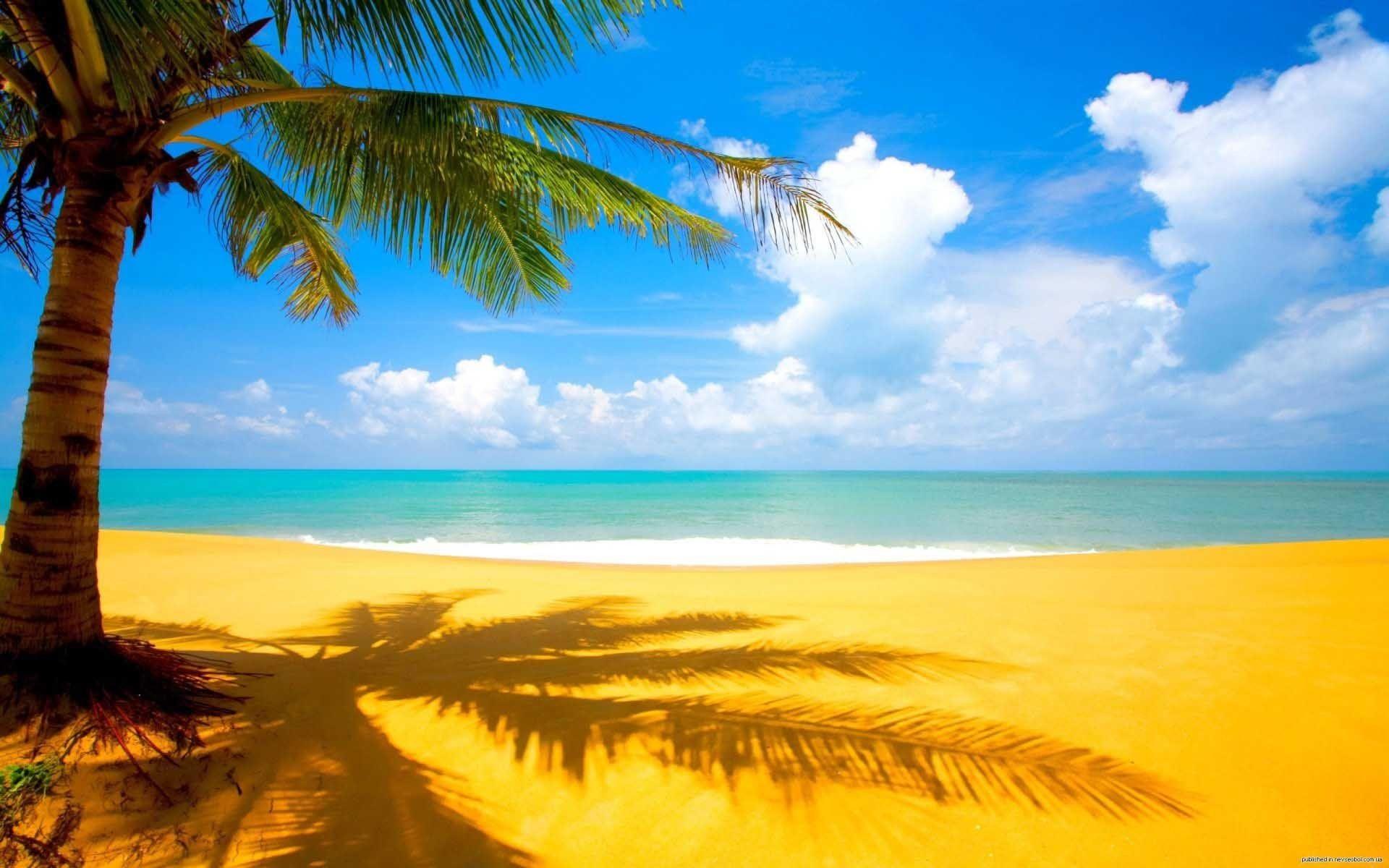 Sunny Wallpapers - Top Free Sunny Backgrounds - WallpaperAccess