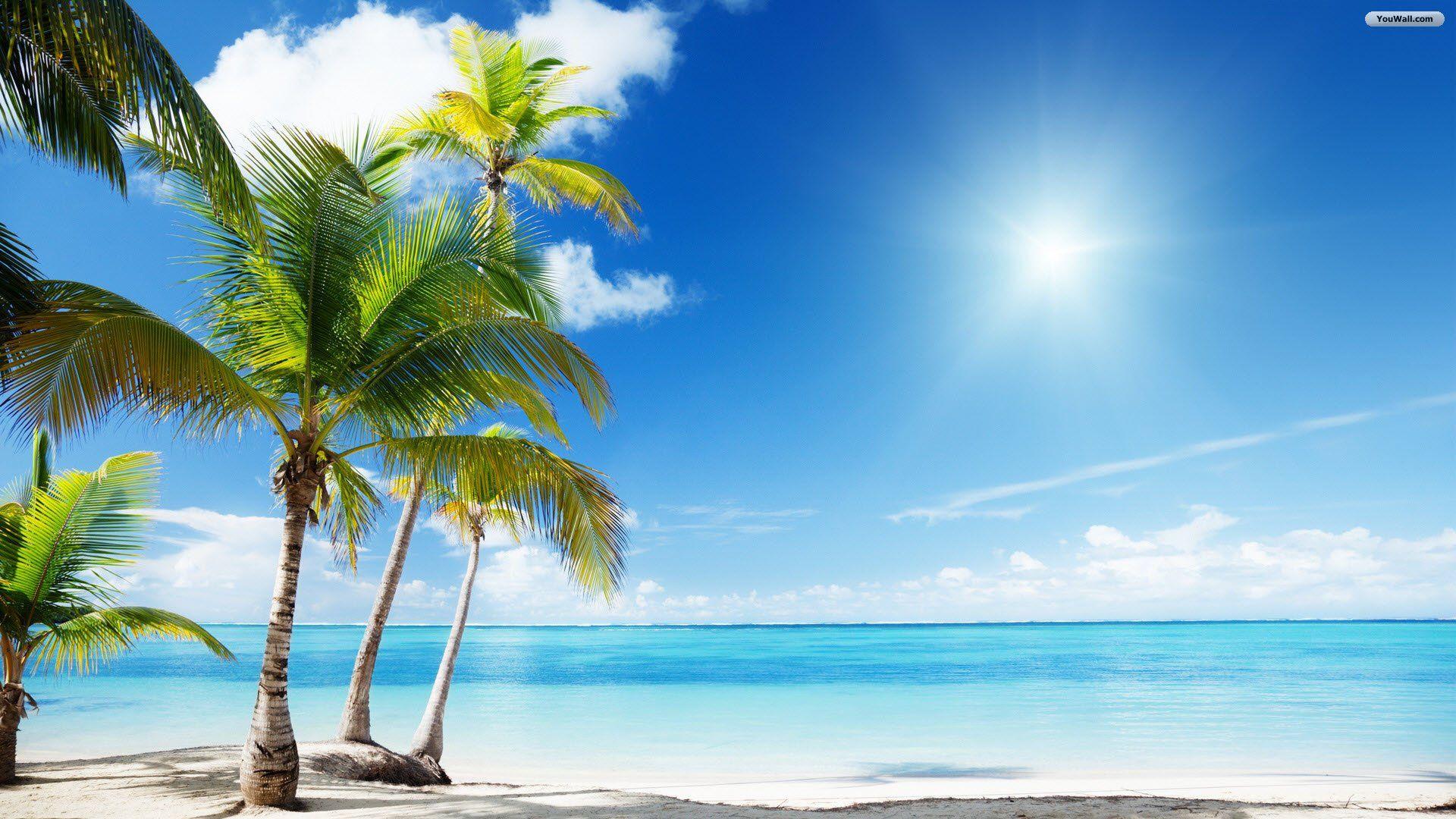 Sunny Wallpapers - Top Free Sunny Backgrounds - WallpaperAccess
