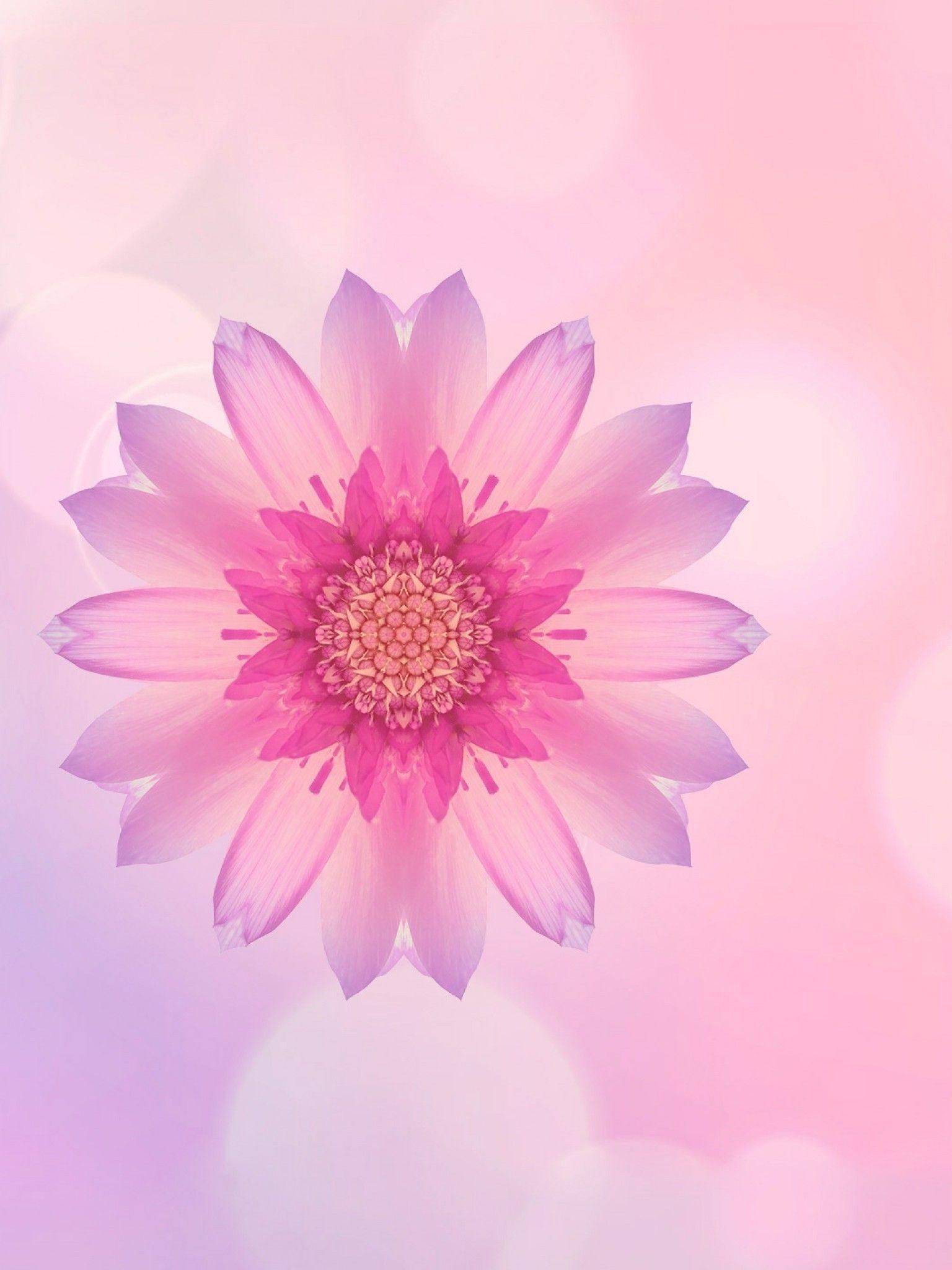 Pink iPad Wallpapers - Top Free Pink iPad Backgrounds - WallpaperAccess