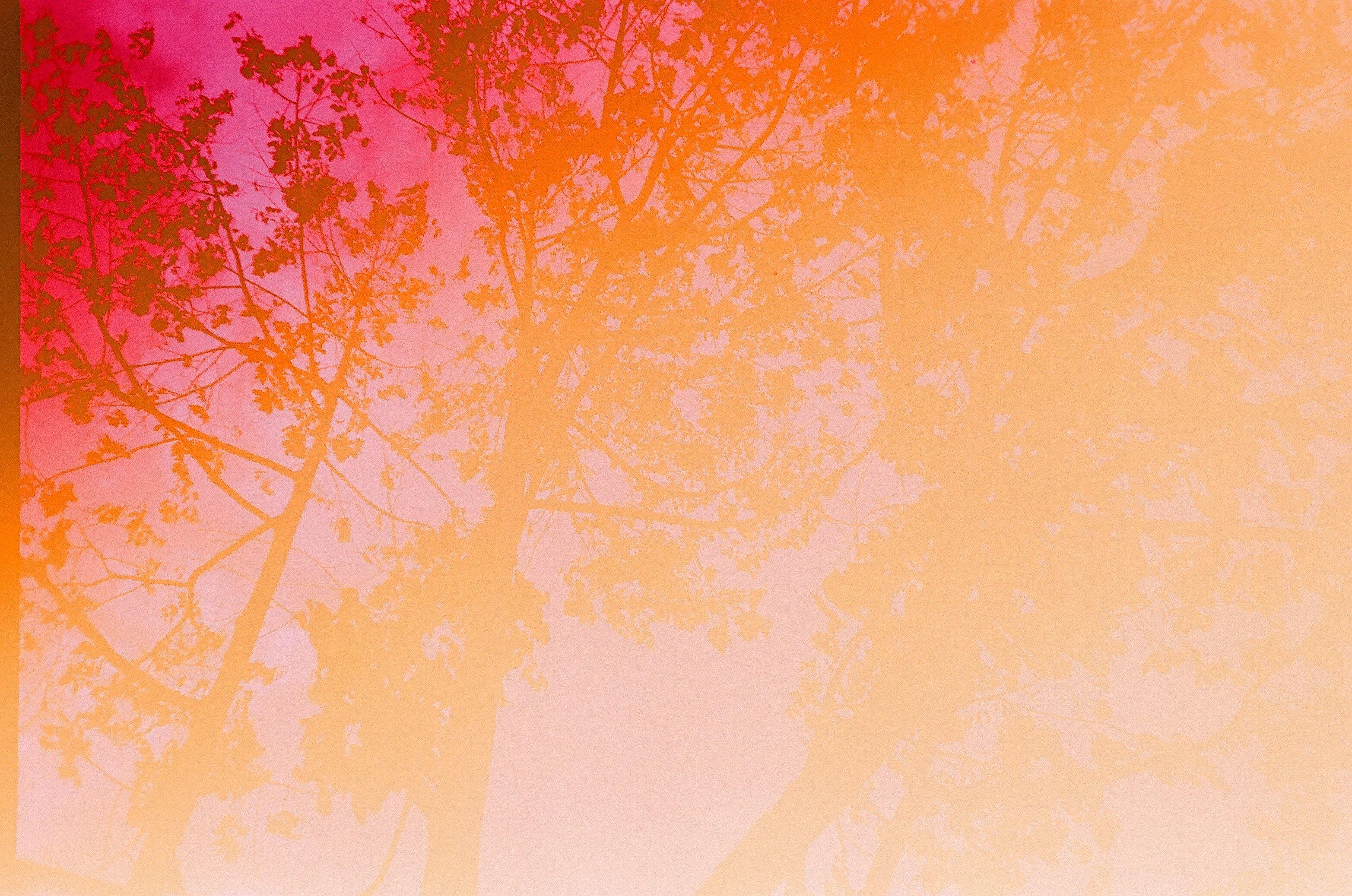 Banner Wallpapers - Top Free Banner Backgrounds - WallpaperAccess