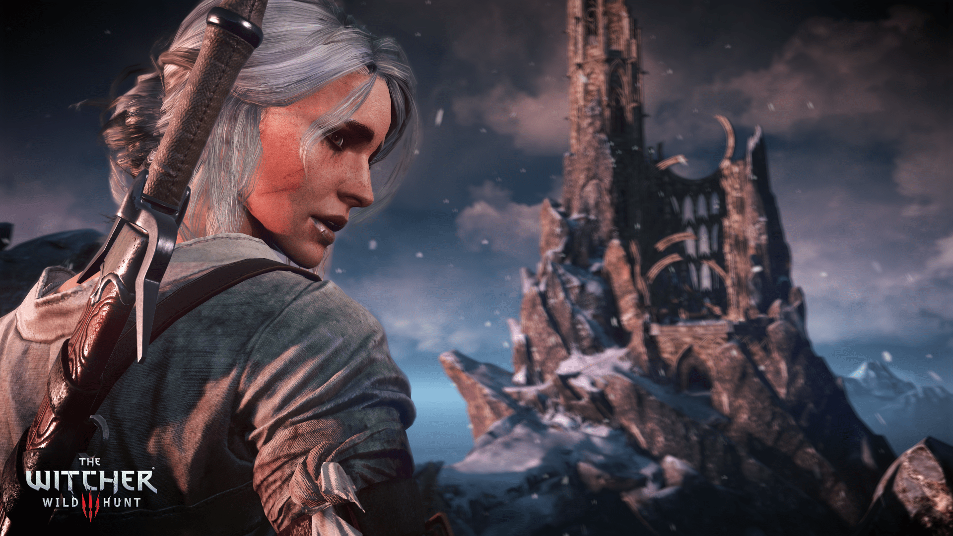 Ciri The Witcher 3 Wallpapers - Top Free Ciri The Witcher 3 Backgrounds ...