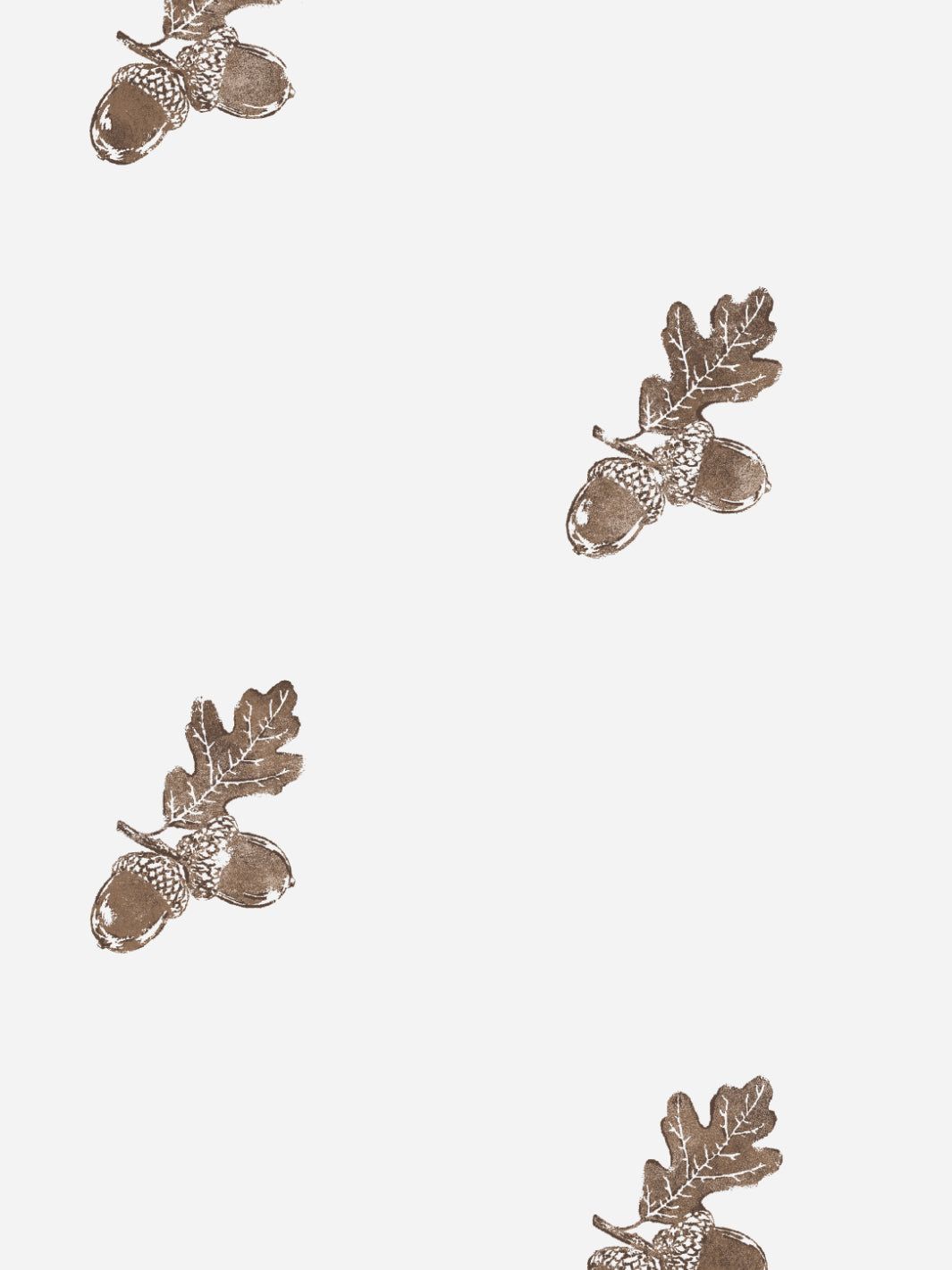 Acorn Wallpapers - Top Free Acorn Backgrounds - WallpaperAccess