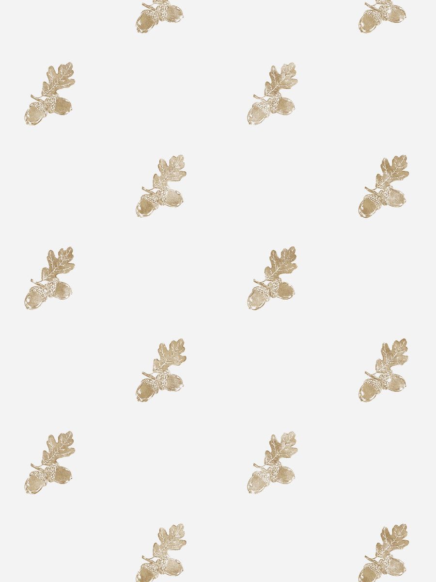 Acorn Wallpapers - Top Free Acorn Backgrounds - WallpaperAccess