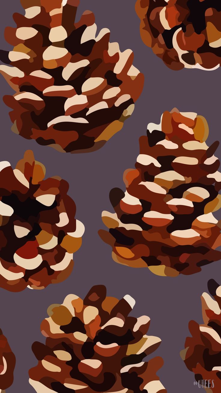 Acorn Wallpapers - Top Free Acorn Backgrounds - WallpaperAccess