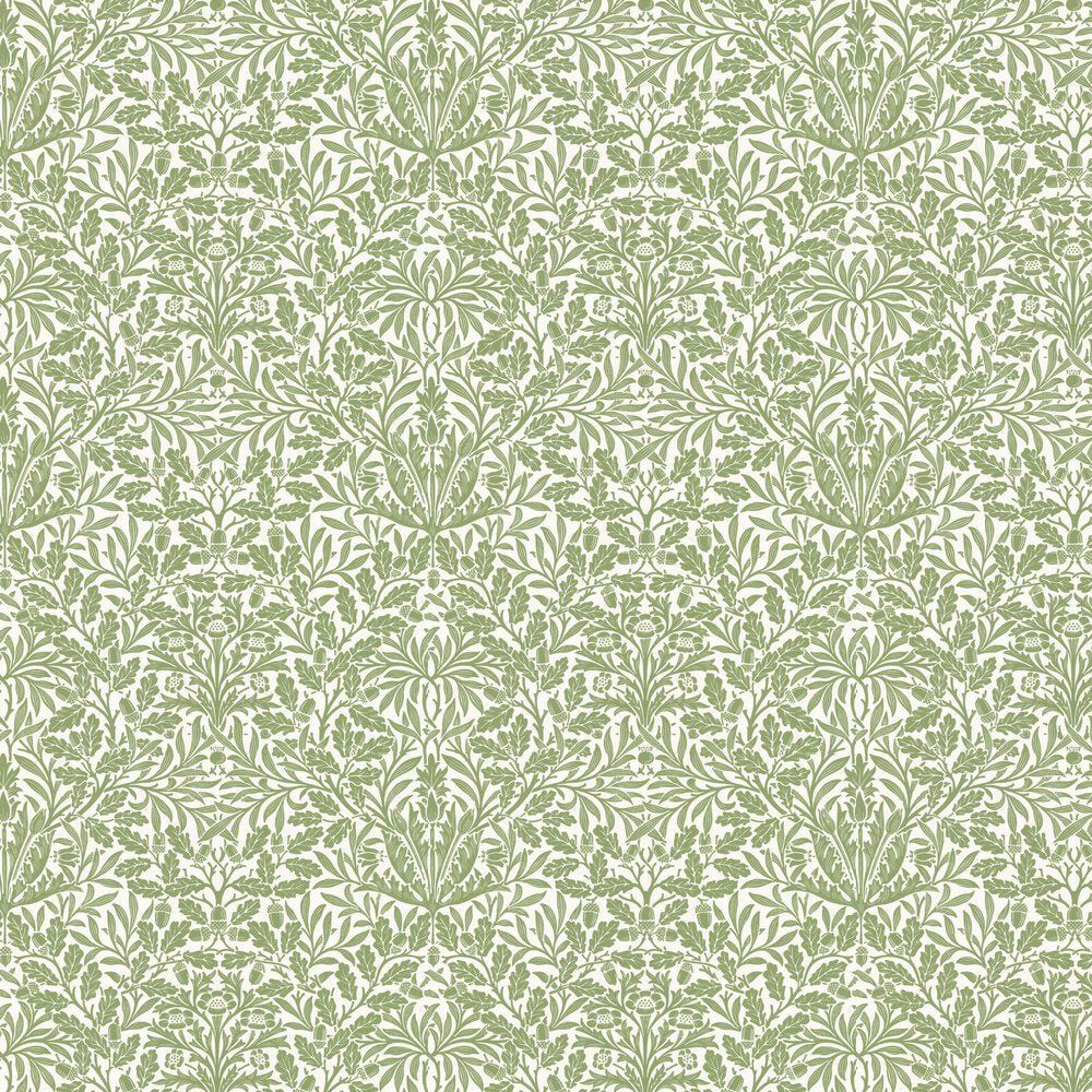 Acorn Wallpapers - Top Free Acorn Backgrounds - WallpaperAccess