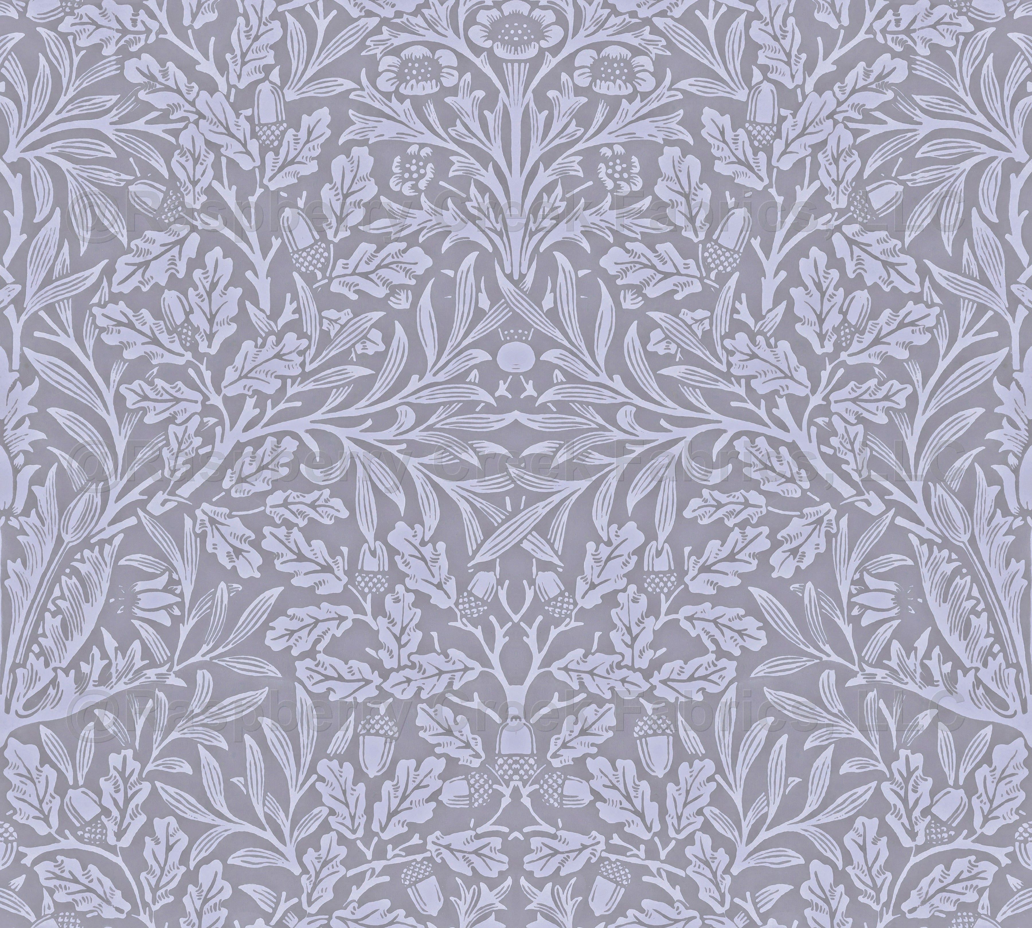 Acorn Wallpapers - Top Free Acorn Backgrounds - WallpaperAccess