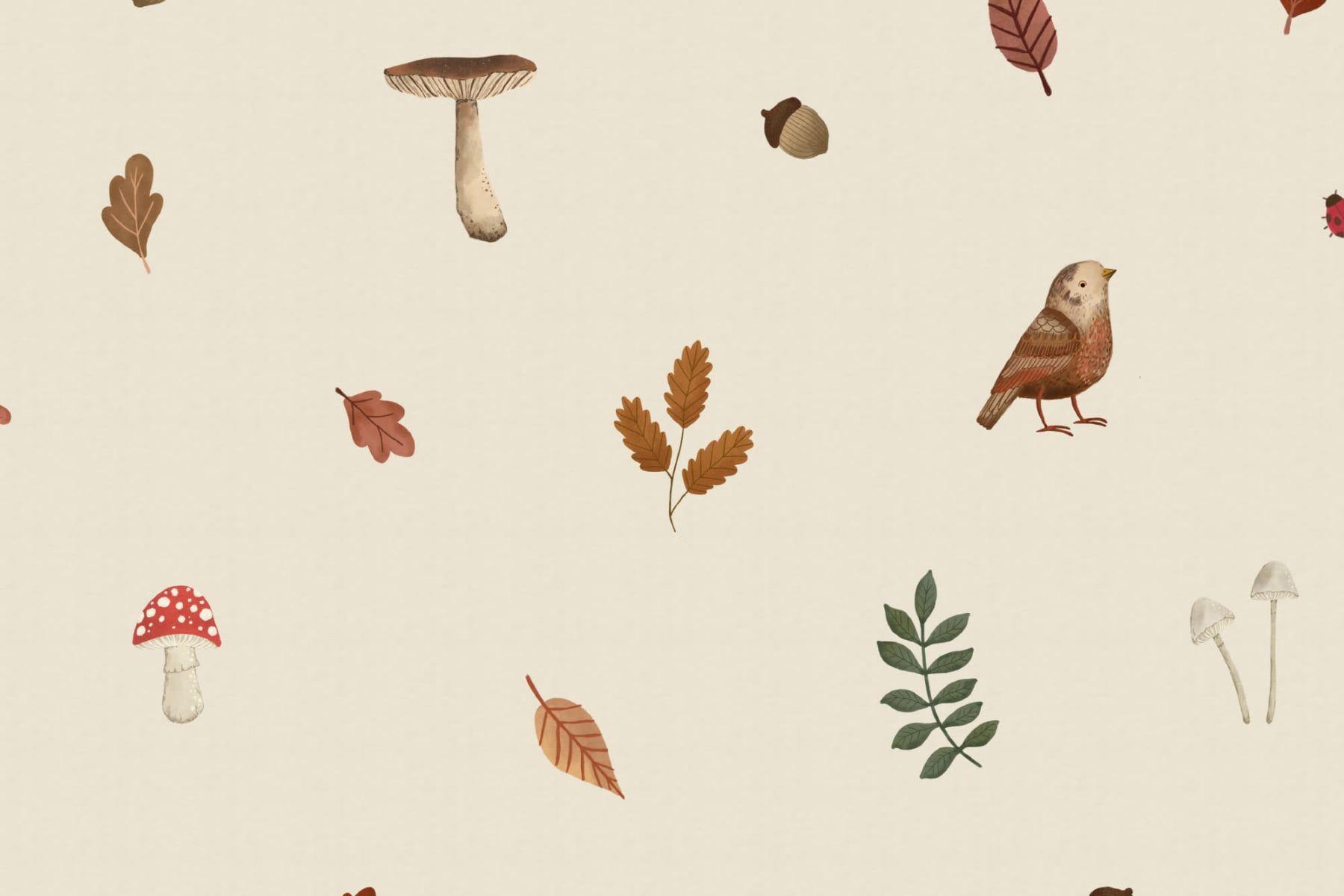 Acorn Wallpapers - Top Free Acorn Backgrounds - WallpaperAccess