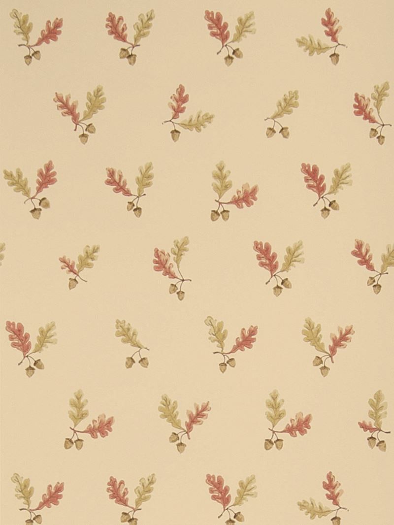 Acorn Wallpapers - Top Free Acorn Backgrounds - WallpaperAccess