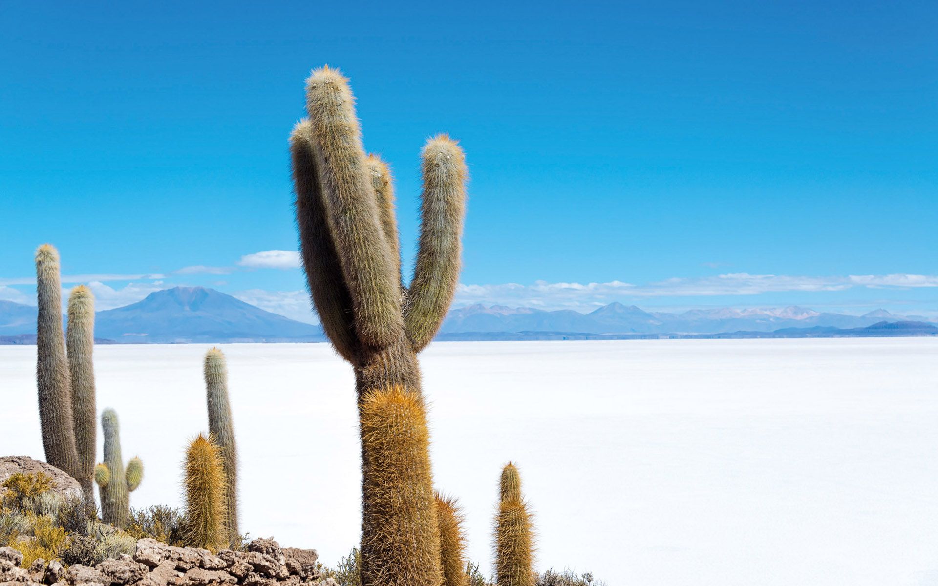 Salt Desert Wallpapers - Top Free Salt Desert Backgrounds - WallpaperAccess